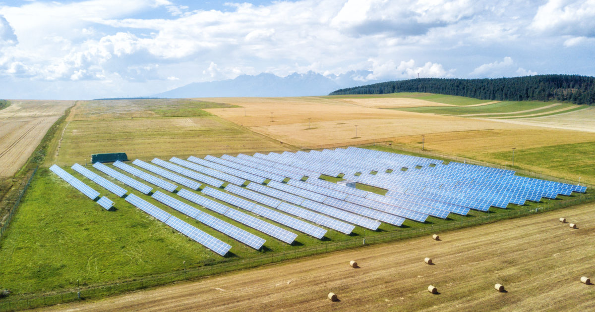 Managing solar parks for nature: delivering to the climate and ...